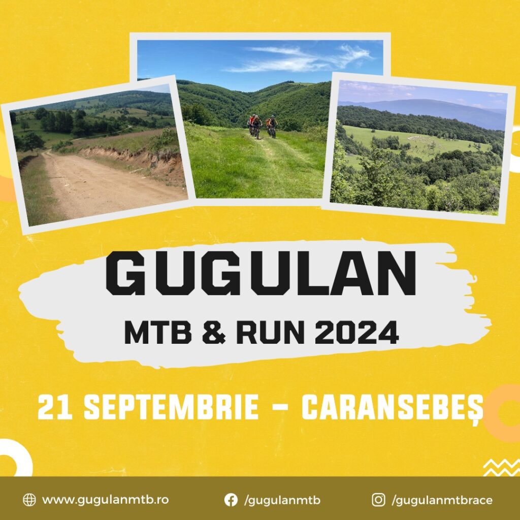 Rezultate - Linia de sosire